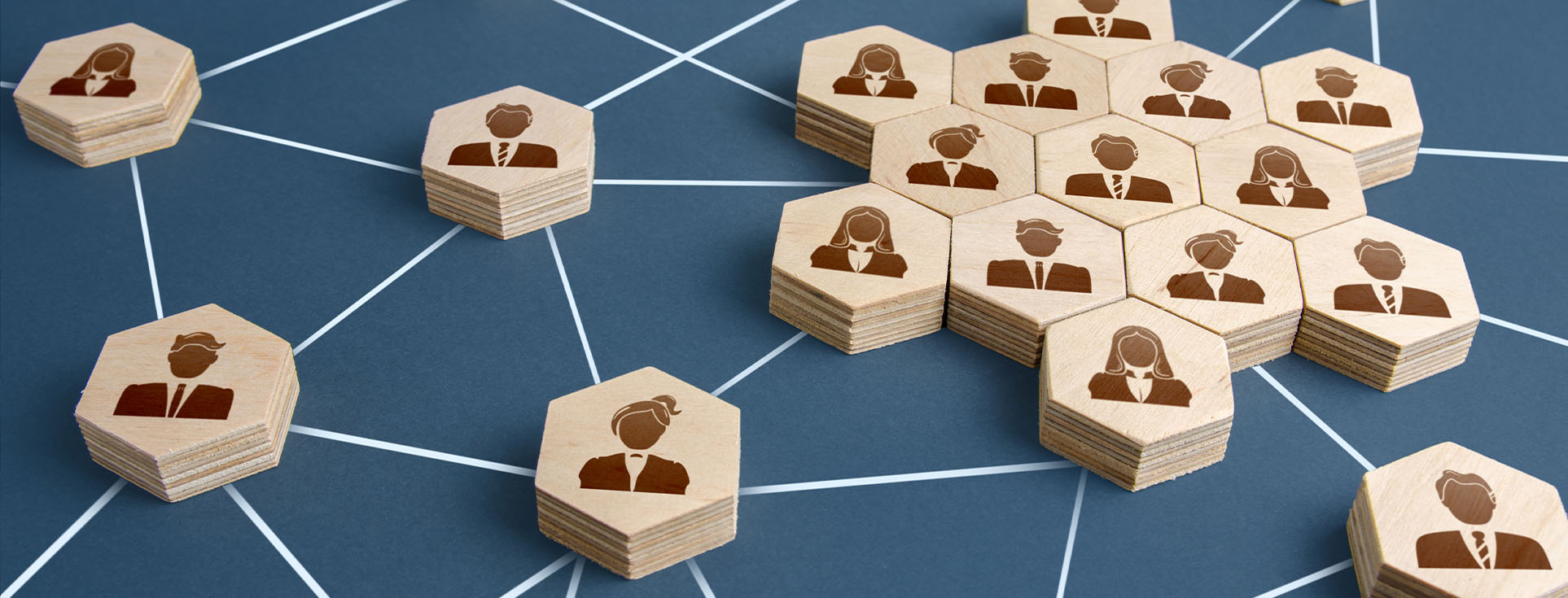 Networked Governance: Why It Is Different and How It Can Work